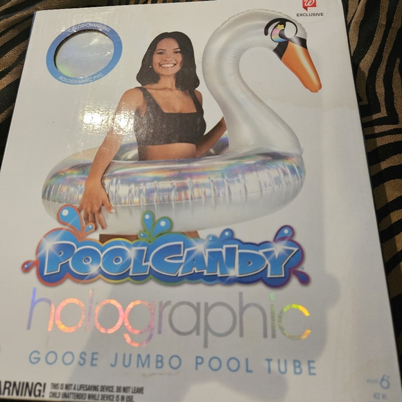 Pool Candy | Other | Brand New Pool Candy Jumbo Goose Holographic Tube ...